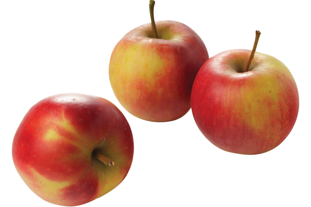Pink Lady appels per kg - Groentehal