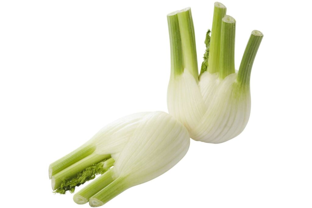 Venkel per 500 gram - Groentehal