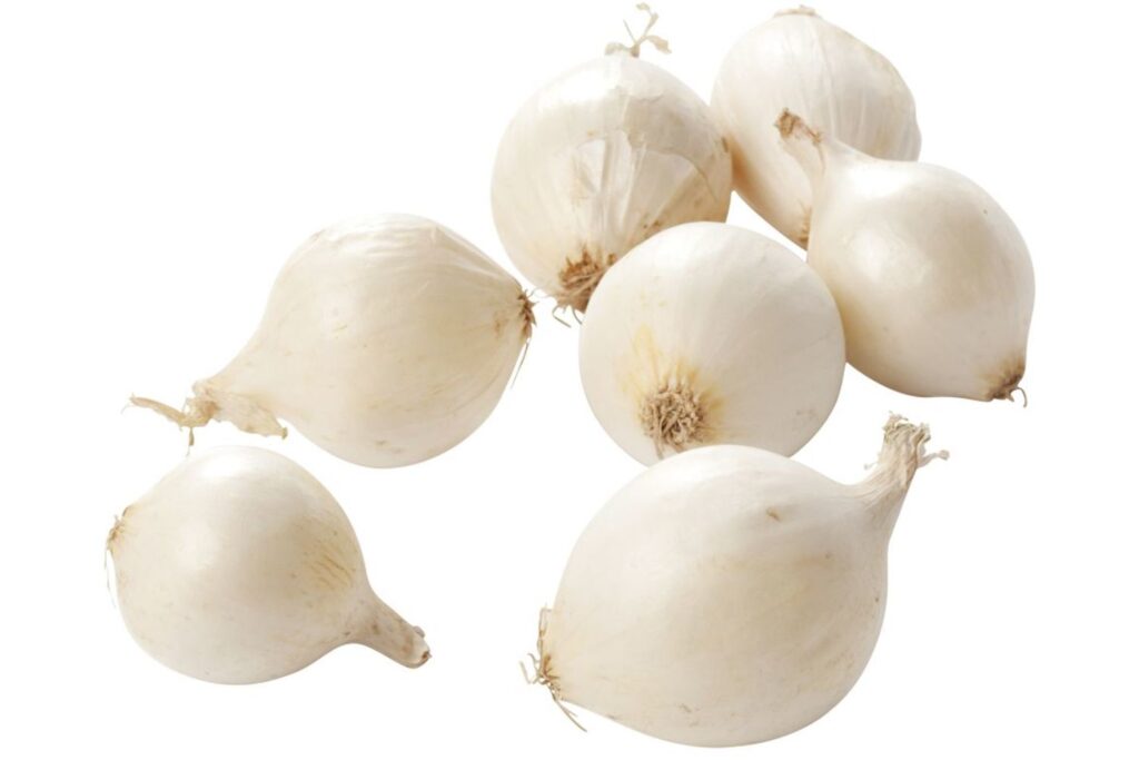 Zilveruitjes vers per 250 gram - Groentehal